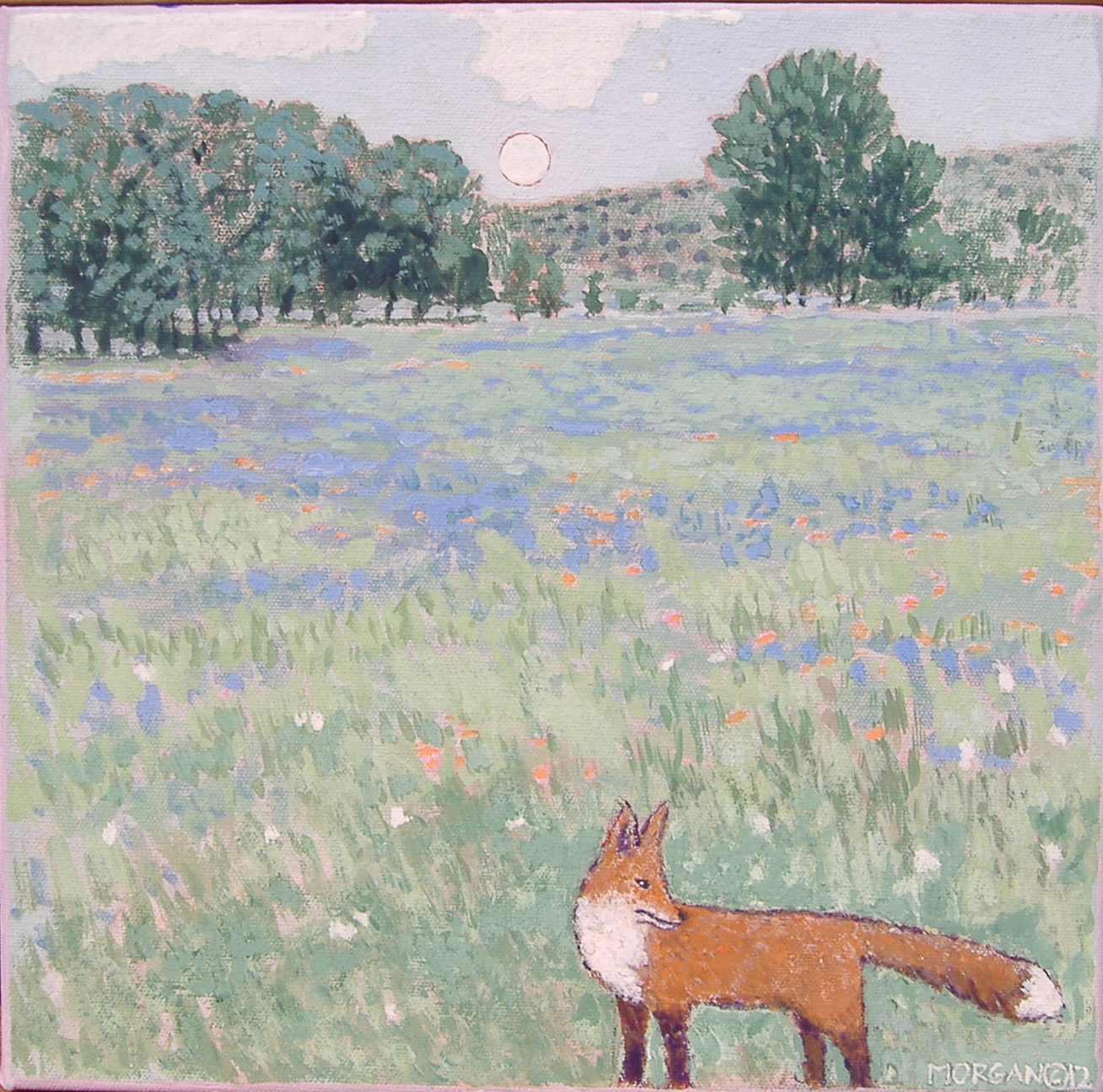 Animalito Land: Finding Mr. Badger, Mr. Fox, and Mr. Skunk