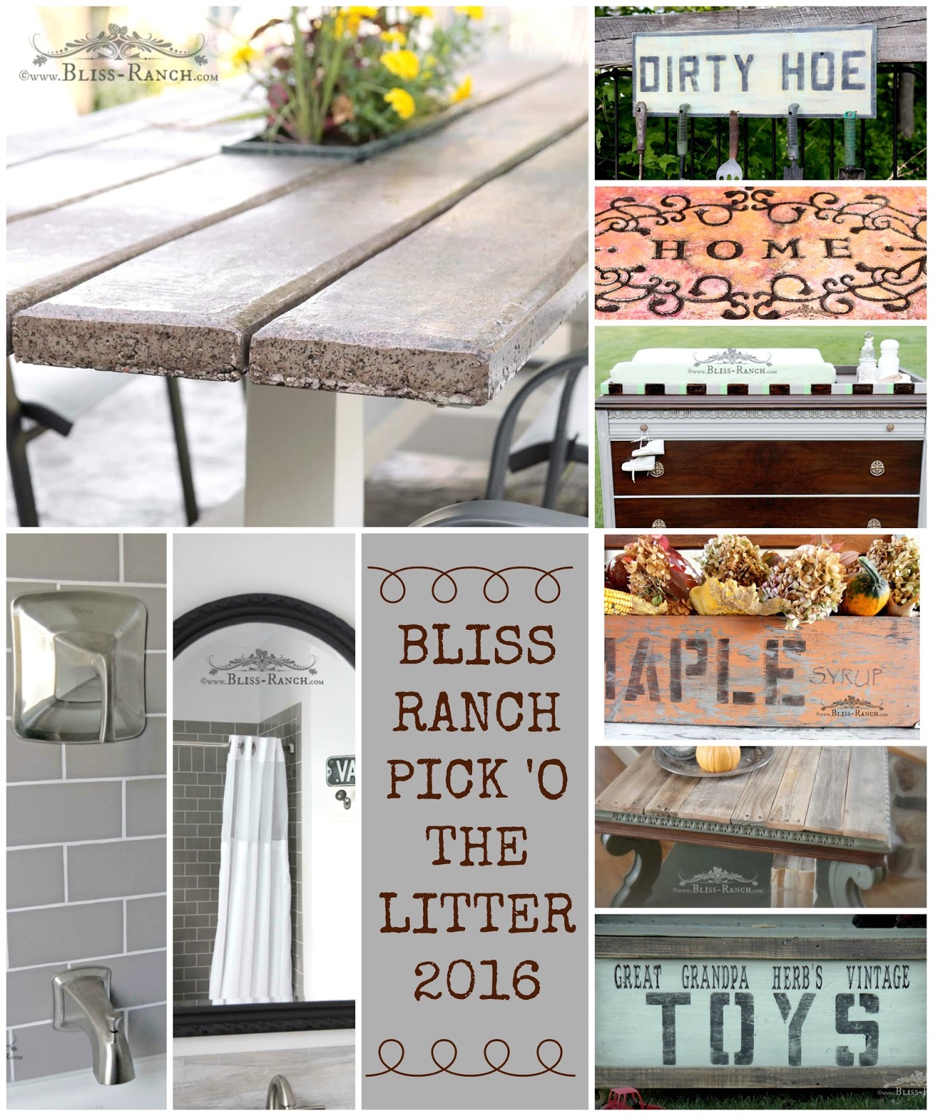 Bliss Ranch: Bliss Ranch 2016 Pick 'O The Litter Projects