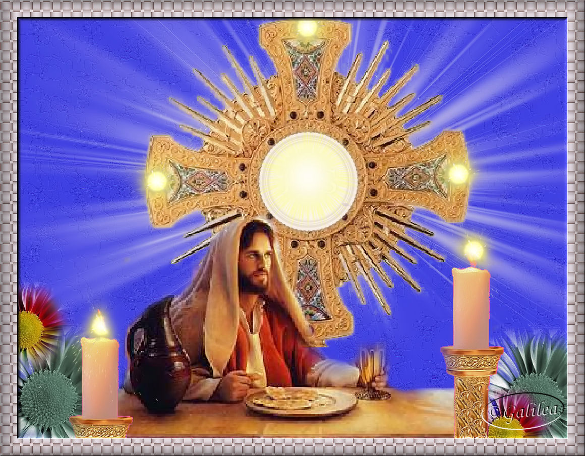 Jesús el Tesoro Escondido: Imágenes Santísimo Sacramento