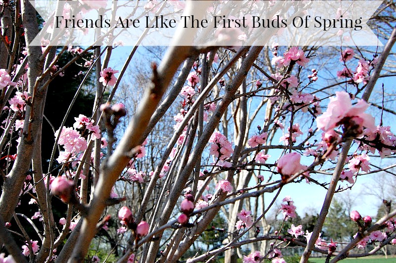 Gift Of Encouragement From Friends & Family - At Home with Jemma