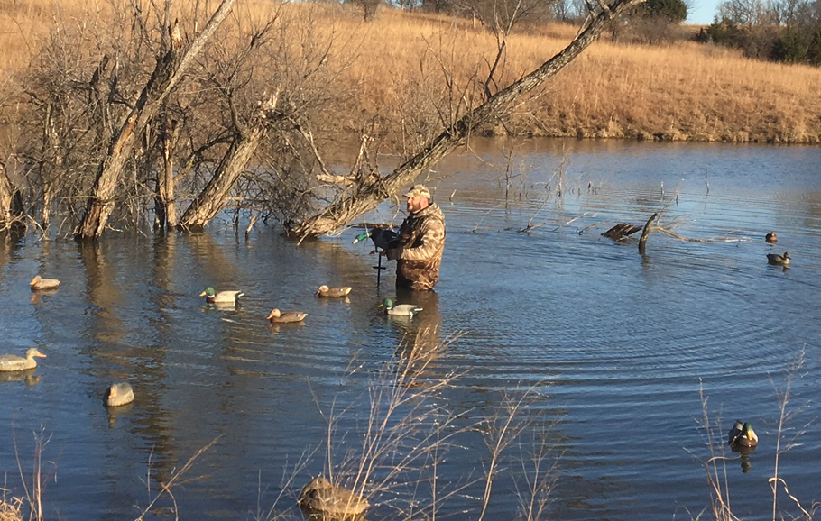 Modern Wild Man: Modern Wild Man ~The Duck Addiction~