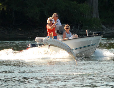 The Fisheries Blog: The Fish Are Fighting Back!