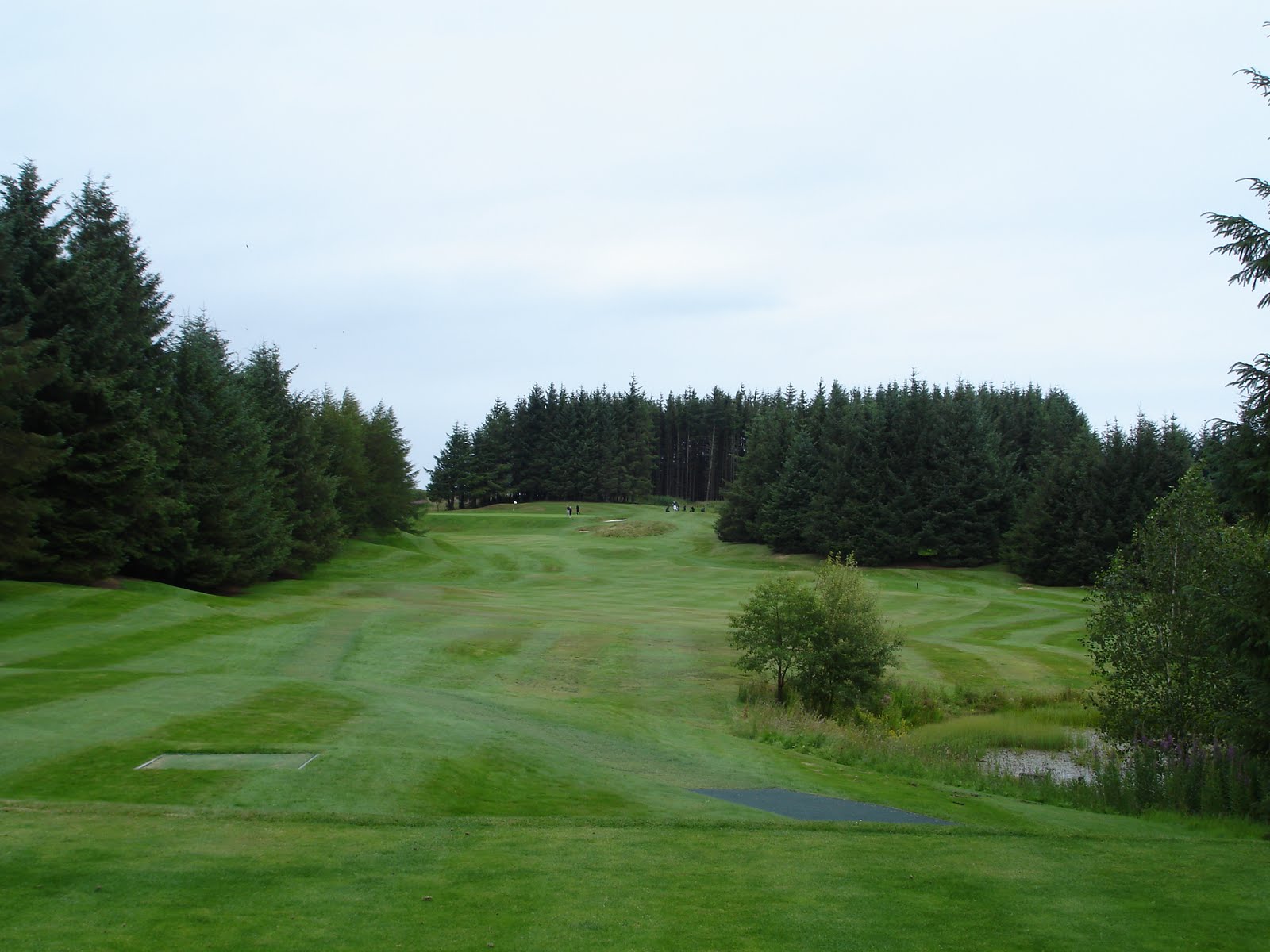 Scottish golf courses - all of them: Bonnyton GC - Course no 433