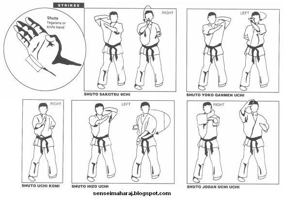 Sensei M.Maharaj: UCHI WAZA - Karate Striking Techniques