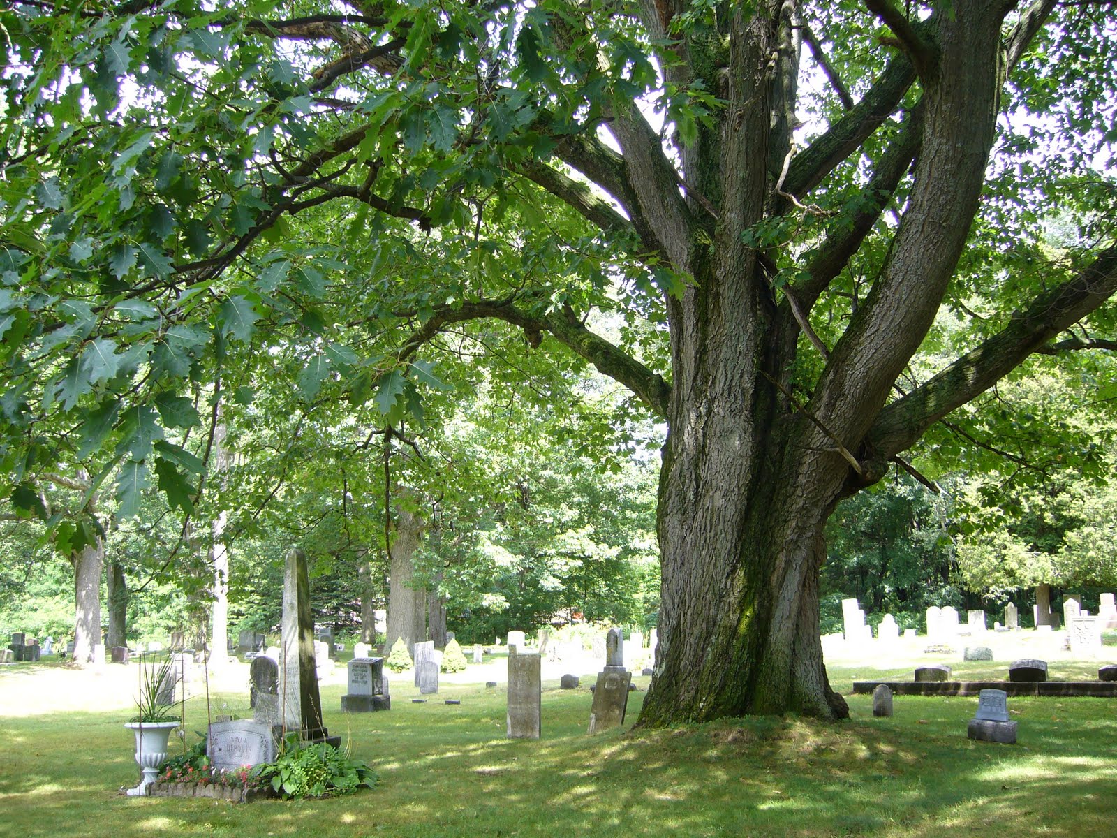 Going Places - Home on the Road: Another beautiful and peaceful cemetery