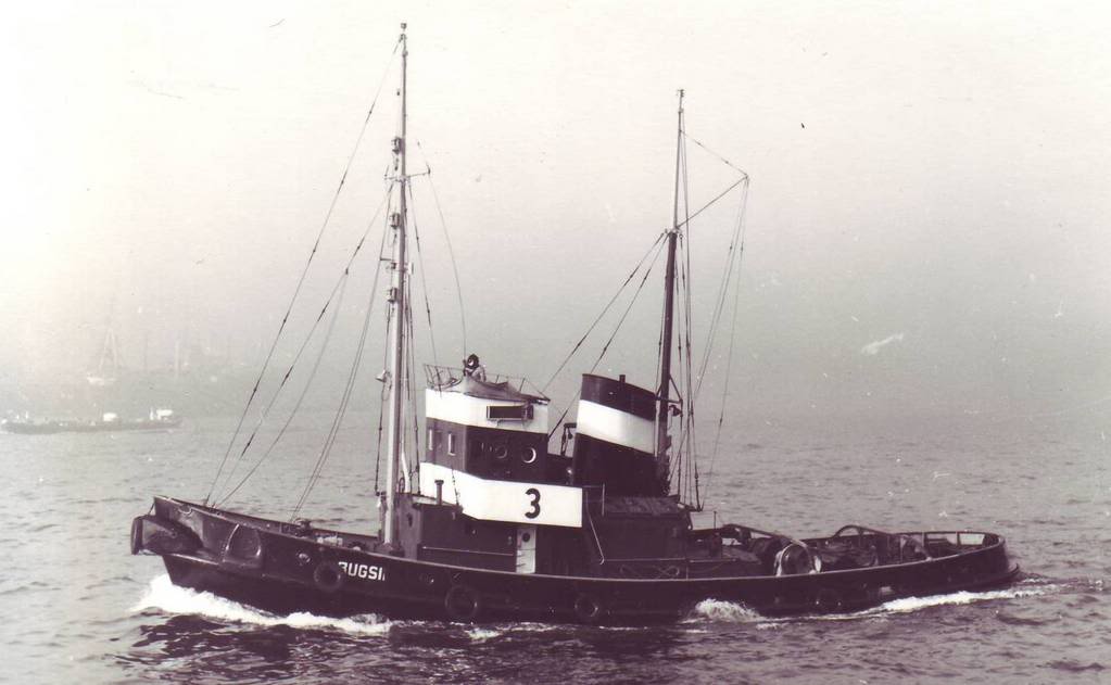 ModelBunker: BUGSIER - The History