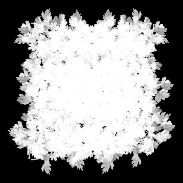 Lori's PSP Graphics: 3 Autumn Leaf Masks