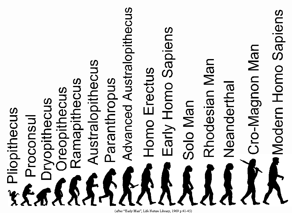 ANTROPOLOGIA SOCIAL: LA EVOLUCIÓN HUMANA