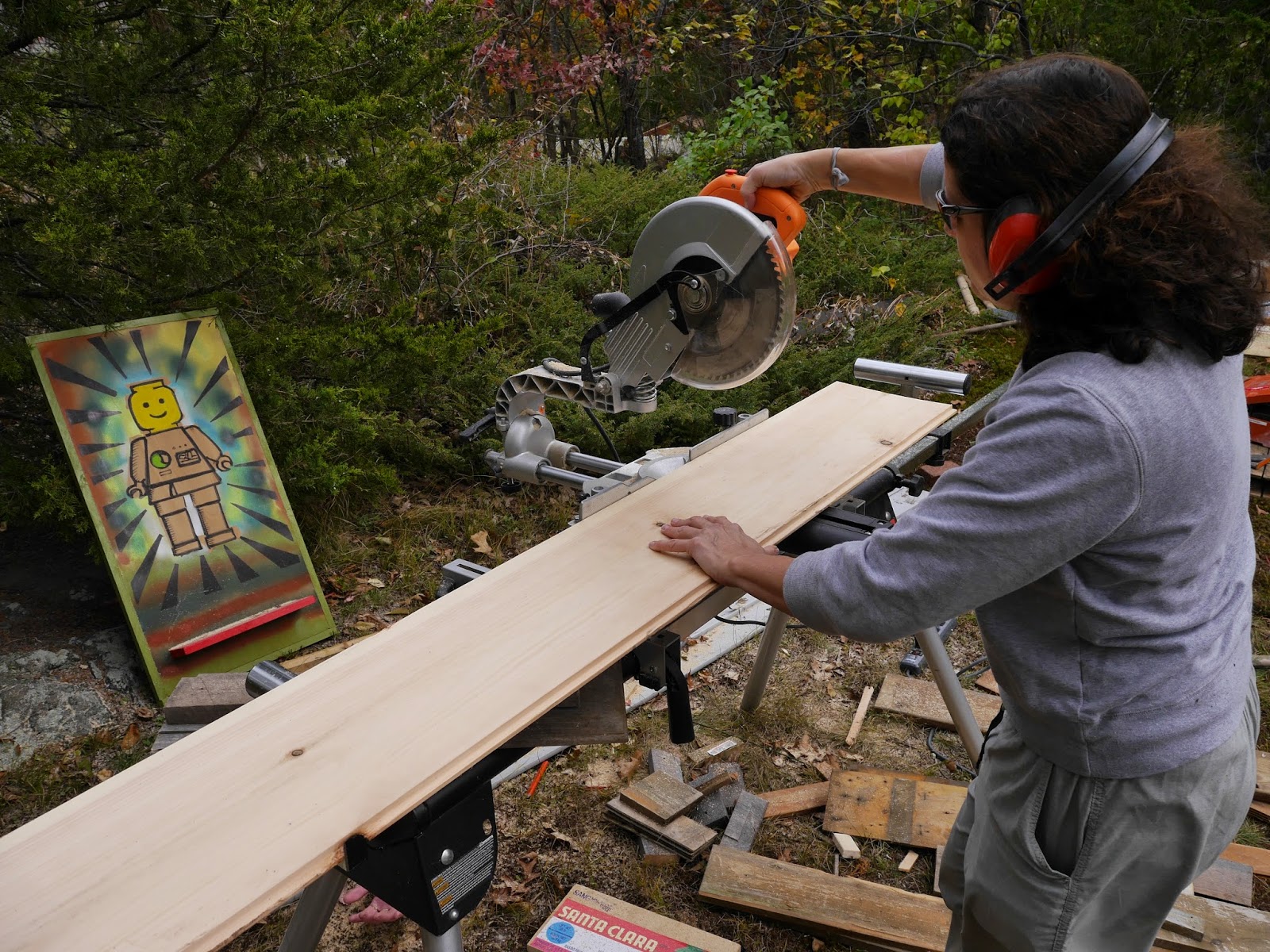 Relaxshacks.com: "The Lunar Lander"- an AFFORDABLE and MODERN Tiny ...