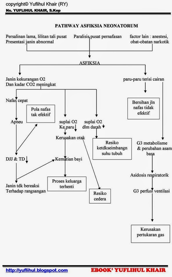 NURISNG PATHWAY ASFIKSIA NEONATORUM
