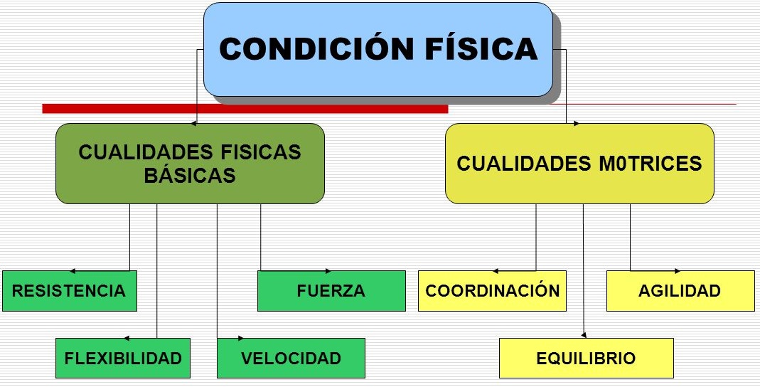 Blog EF IESO Harévolar: Condición Física 1ºCiclo