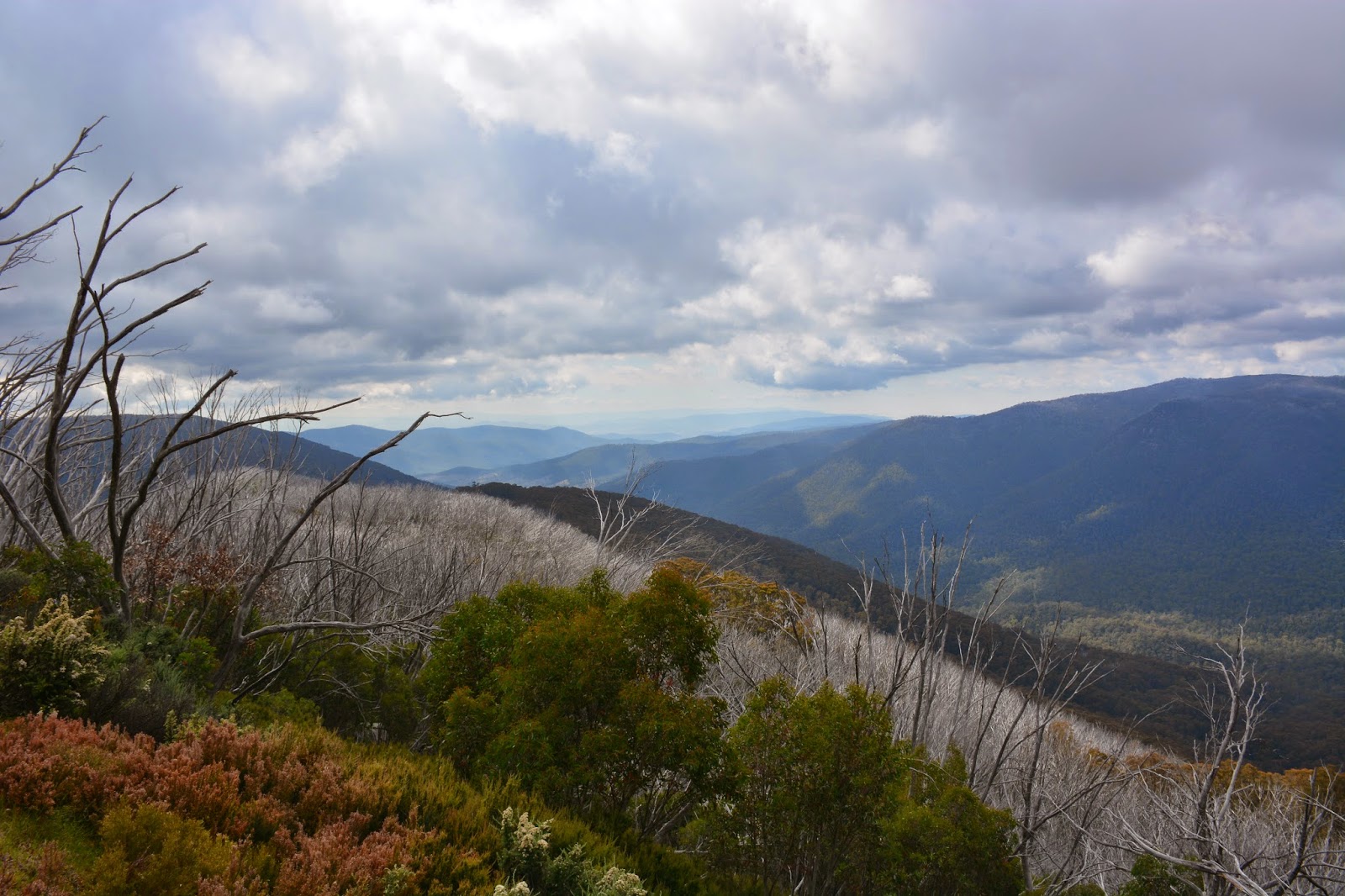 walkabouters club of victoria inc: Falls Creek Summer Camp - Langfords ...