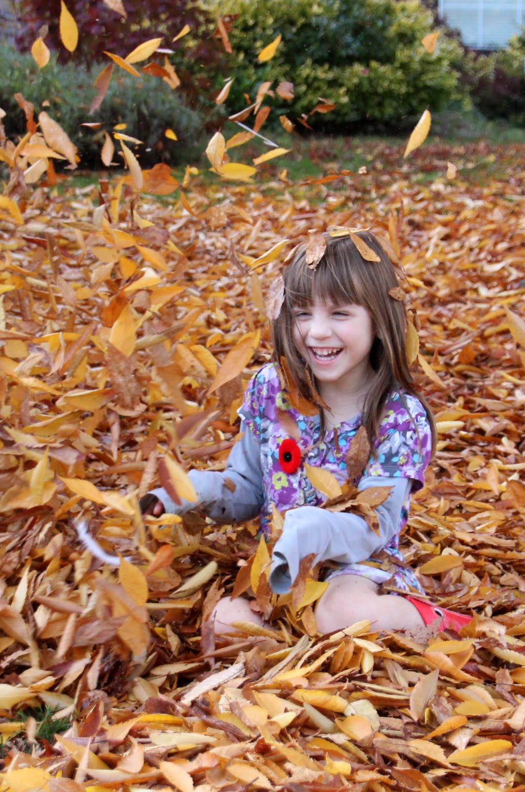 Imagination Station: Felt Poppy Tutorial and Fall Fun