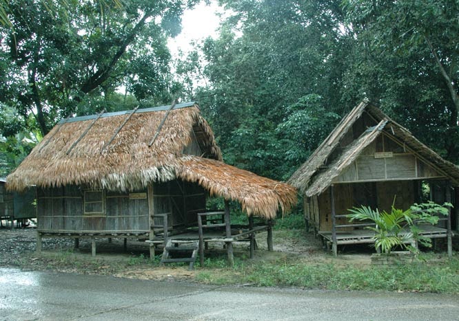 Chini Lake - Tasik Chini : The Mystical Waters of Pahang - Cloud ...