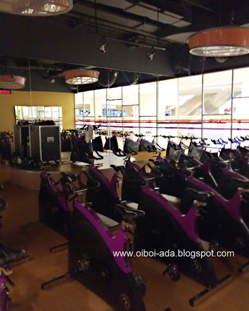 Celebrity Fitness Review