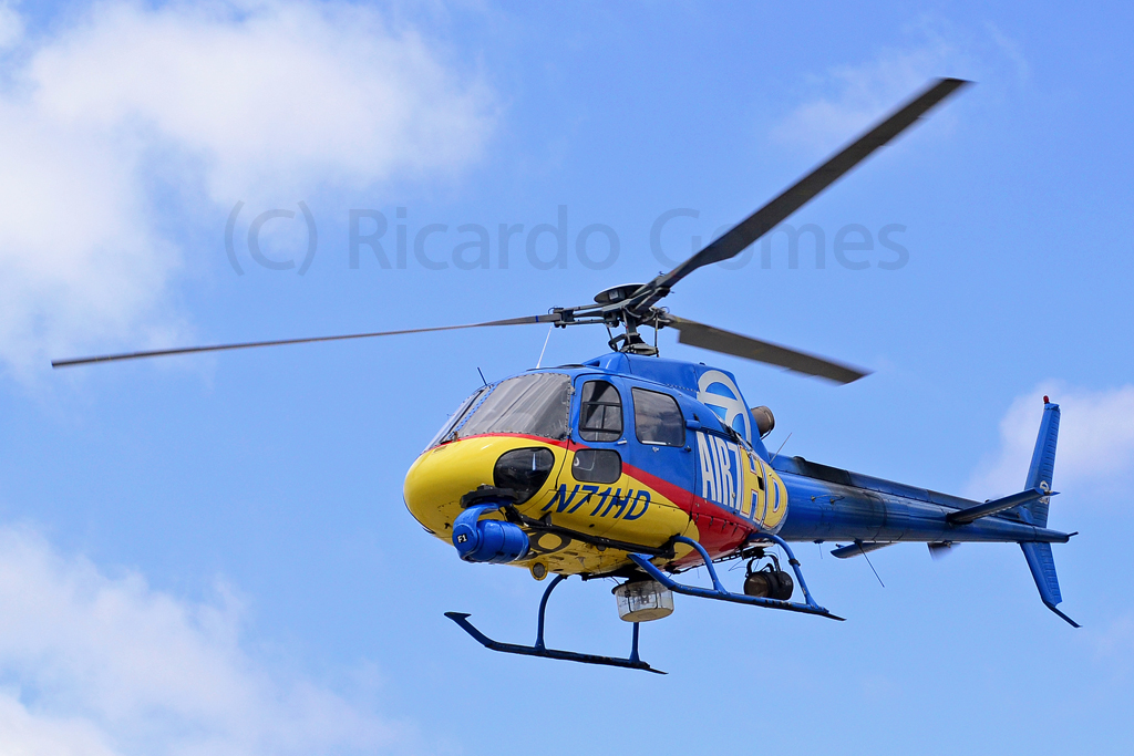 Ricardo Gomes - The True Life of a True Spotter: Spotting Trip @ Los ...