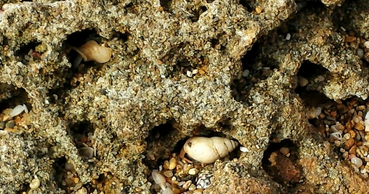 What A Bumpy Ride!: Feels Good To Be Comfy!