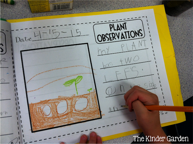 The Kinder Garden: Plants and Living Things {plus freebies!}