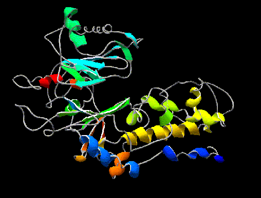 Uma breve abordagem sobre as enzimas ~ Natureza Evolutiva