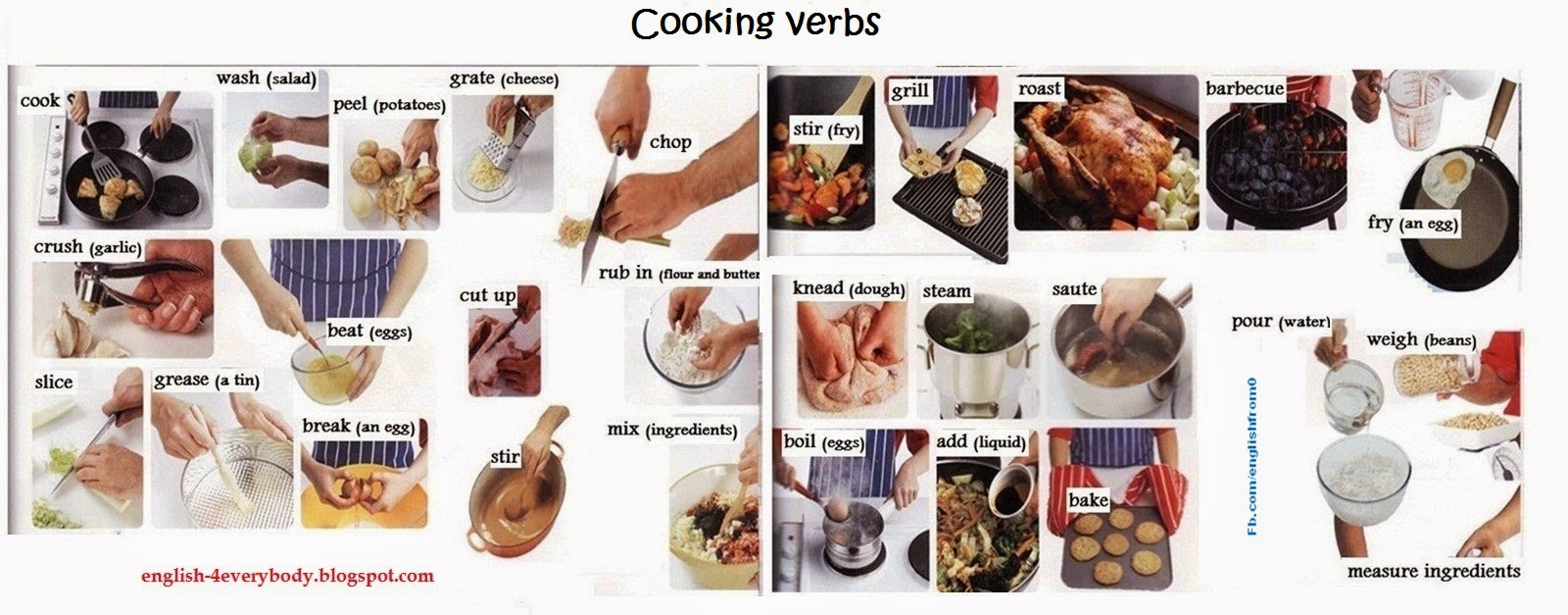 English For Beginners: Cooking Verbs