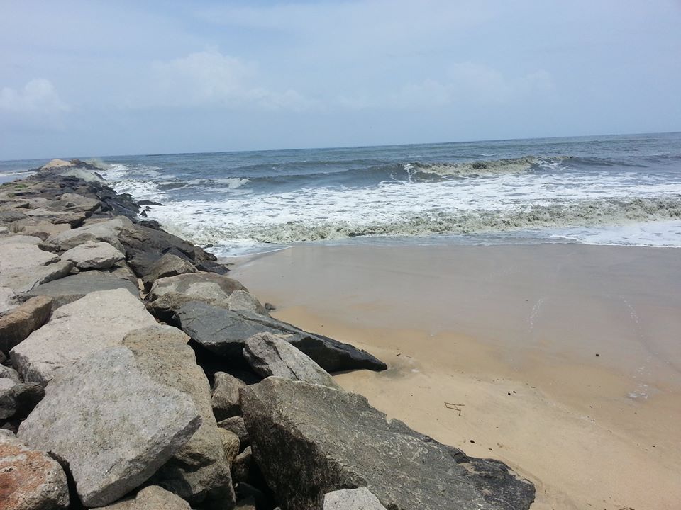 The lovely beach at Cherthala Chethi - avalshe98