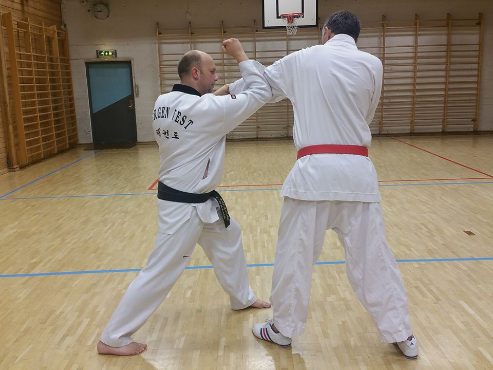 Traditional Taekwondo Ramblings: Taekwondo "Blocks"