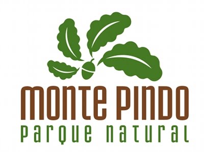Pablo Vaamonde: Arde o Monte Pindo