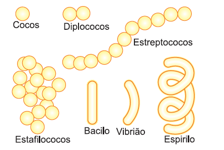 Bio e Ciências!: Fevereiro 2018