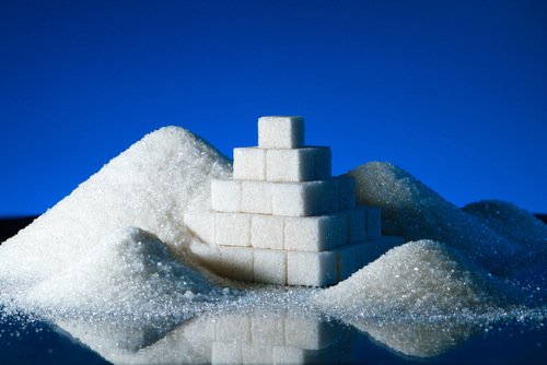 Nieuws uit het Laboratorium: Suiker maakt je dom!