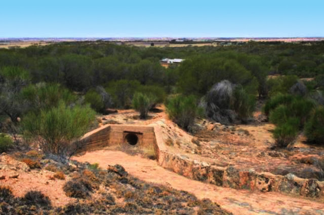 NixPixMix: XANTIPPE, AUSTRALIA