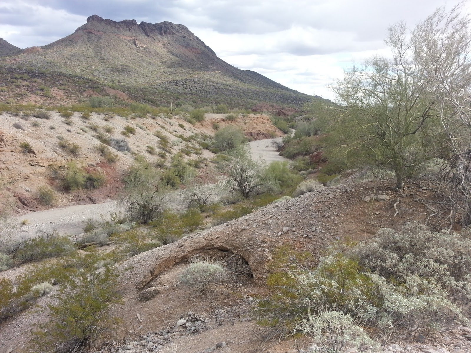 Sarah & Kevin's Excellent Adventure: Agua Caliente Scenic Drive