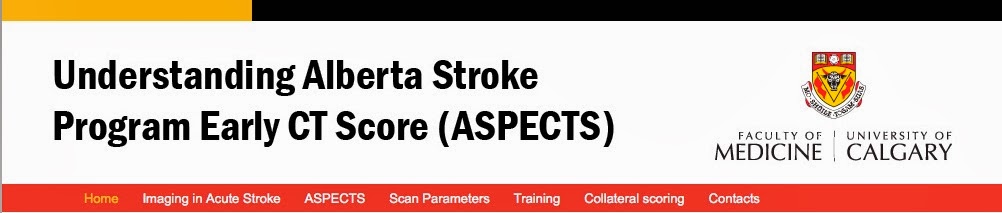 elneuroblogSg: Escalas que nos ayudan a decidir sobre trombolisis IV ...