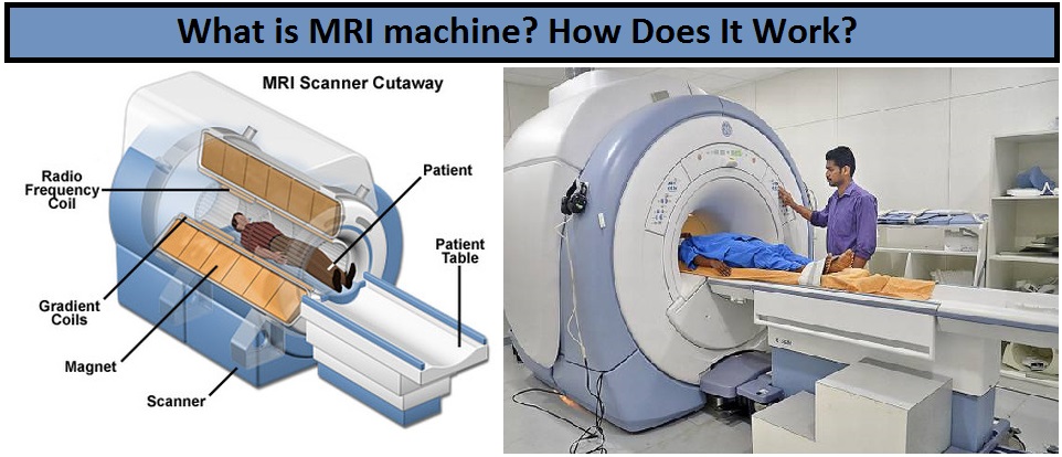 Random Carolina Parrothead Brain Droppings: More Cardiac Adventures-The ...