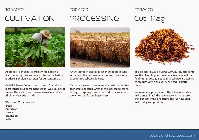 Top Cigarette Brands: This picture contains information about "Orchid ...