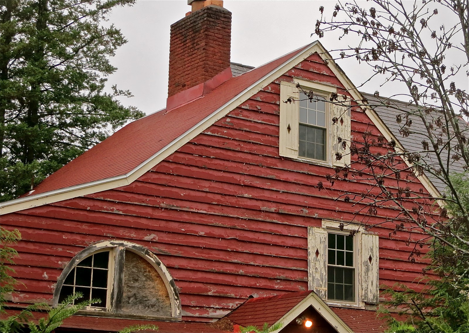 Raining Iguanas: The Ash Grove Inn