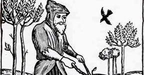 A História da Radiestesia - Parte 03 | Radiestesia e Floral