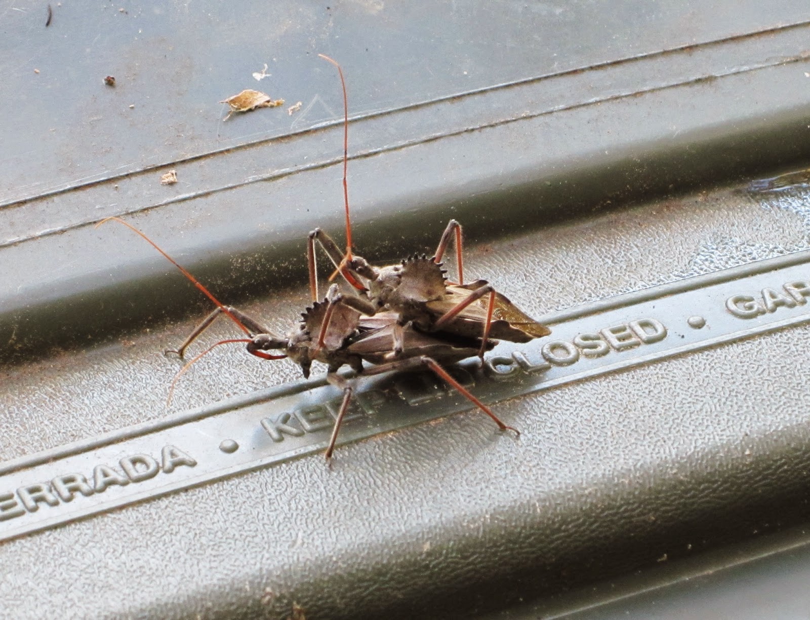 Live and Learn-Toss and Turn: A Second Look--October 29, 2014