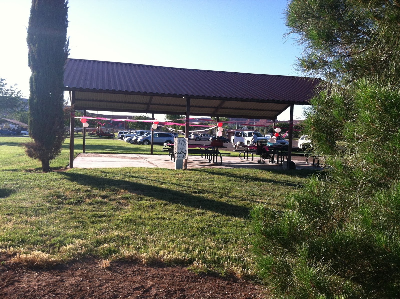 Dear Person Reading This,: St. George With The Barlocker Fam