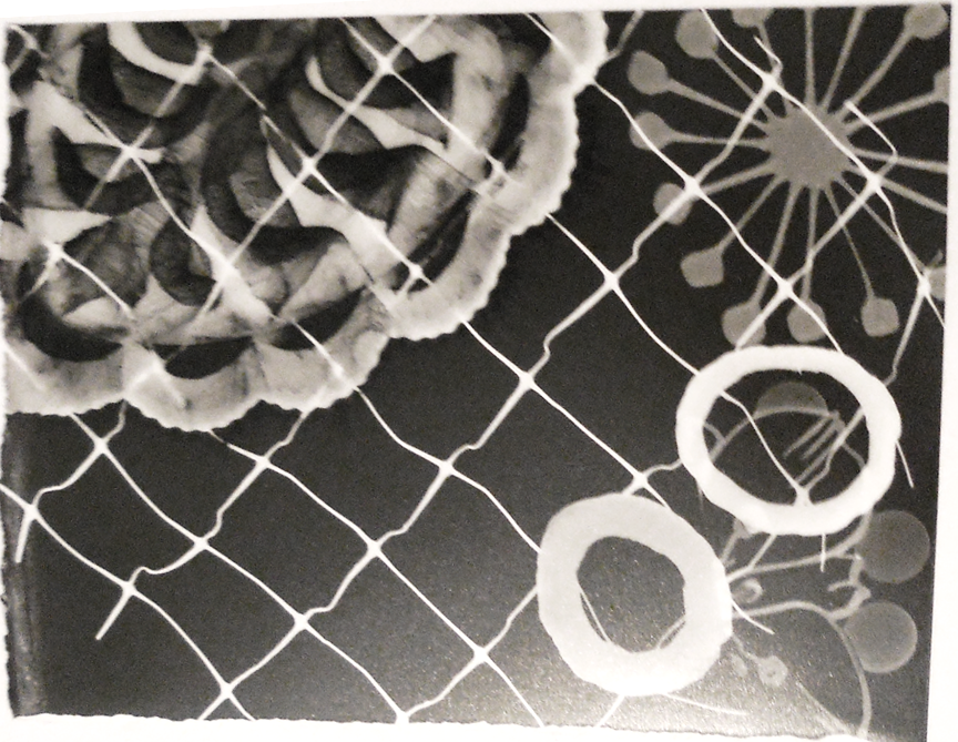 Mabel Lowman Art: Photograms.
