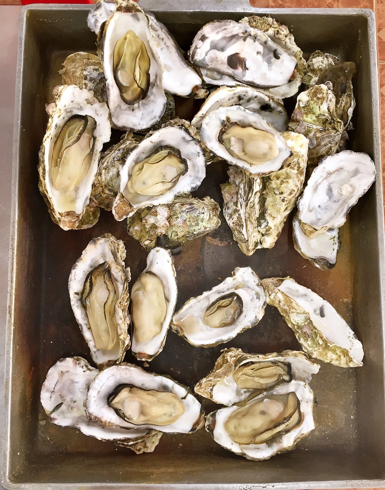 Travel Korea - Gyeongnam: A Delicious Seafood Restaurant in Geoje