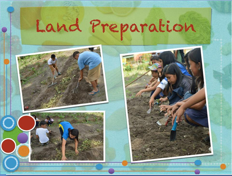 POLOMOLOK CENTRAL ELEMENTARY SCHOOL : Gulayan sa Paaralan
