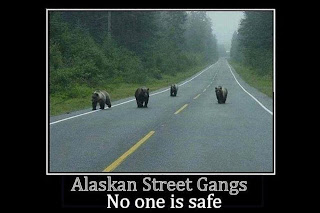 ~the BiKe WriTer: Alaskan Street Gangs