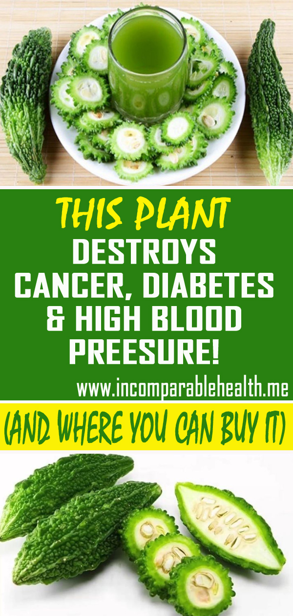 This Plant Destroys Cancer Diabetes And High Blood Pressure Food this-plant-destroys-cancer-diabetes-and-high-blood-pressure-food
