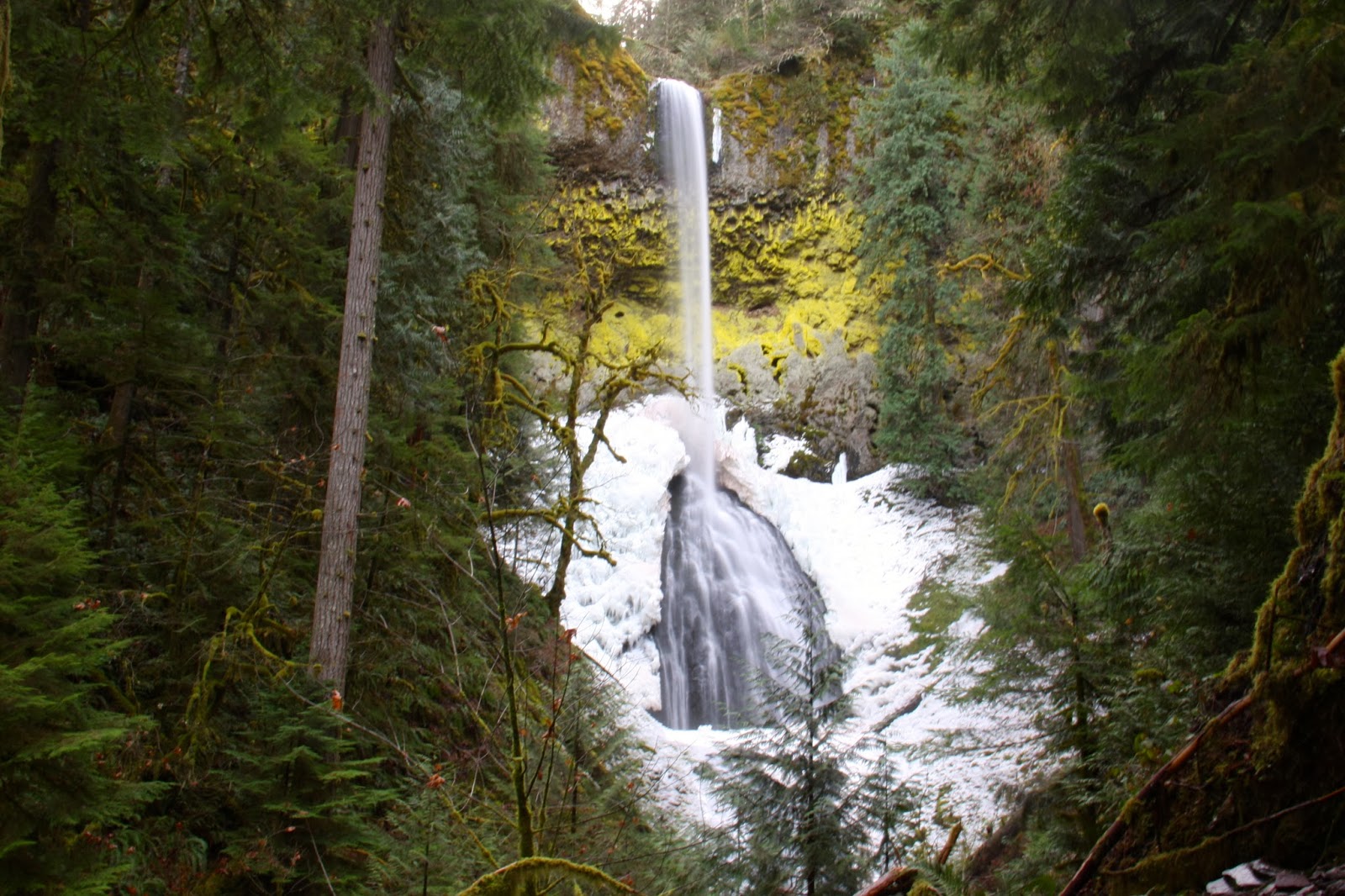 Oregon-Explorer: Exploring the Clackamas river trail #715 to Pup Creek ...