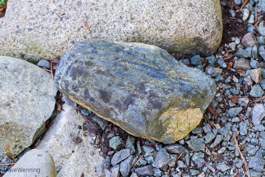 Been Living Under a Rock