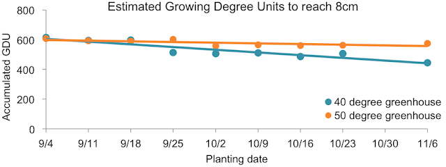 wintergreens: How I use growing degree units