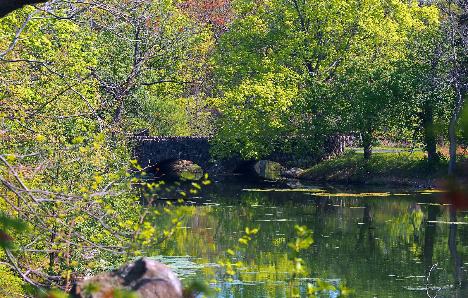 Gillette On Hillsborough: Spring at Duke Farms