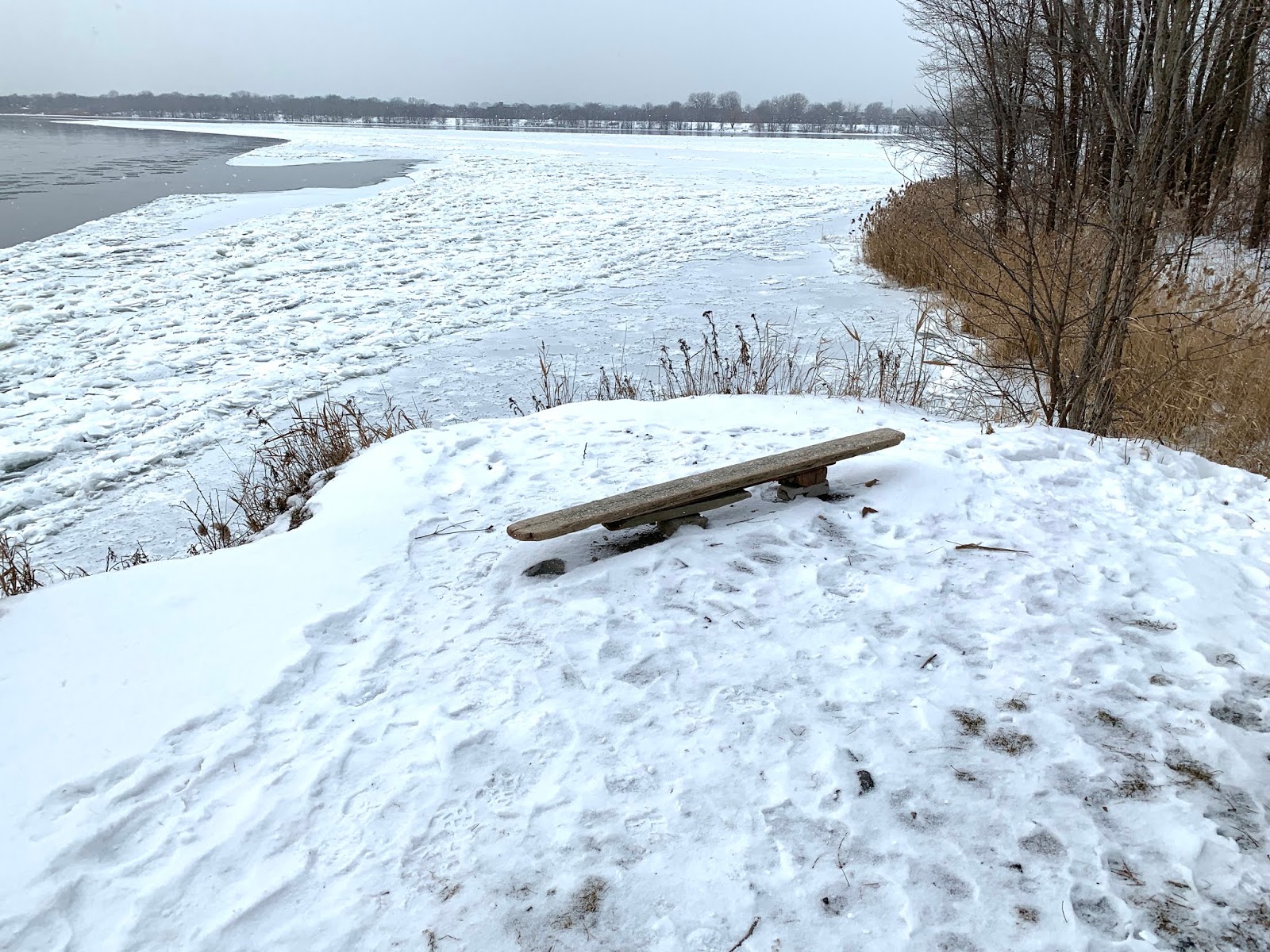 - POINTS OF VIEW _______________: THE ST LAWRENCE RIVER IN JANUARY 2019