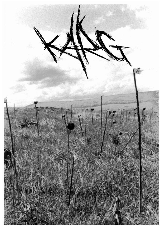 Art of Propaganda Artist - Karg Interview is up