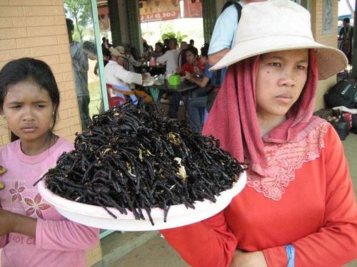 Labah-Labah Tarantula Merupakan Makanan Kegemaran di Kemboja